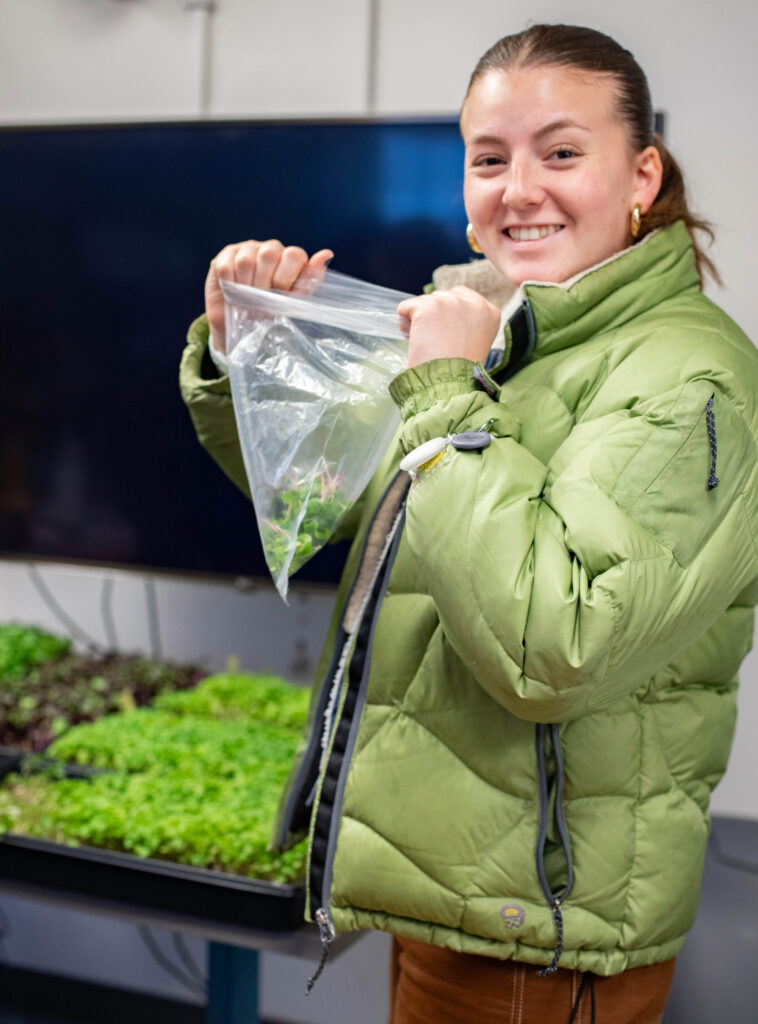 Incentives and Innovations Fund – LSA YEAR OF SUSTAINABILITY