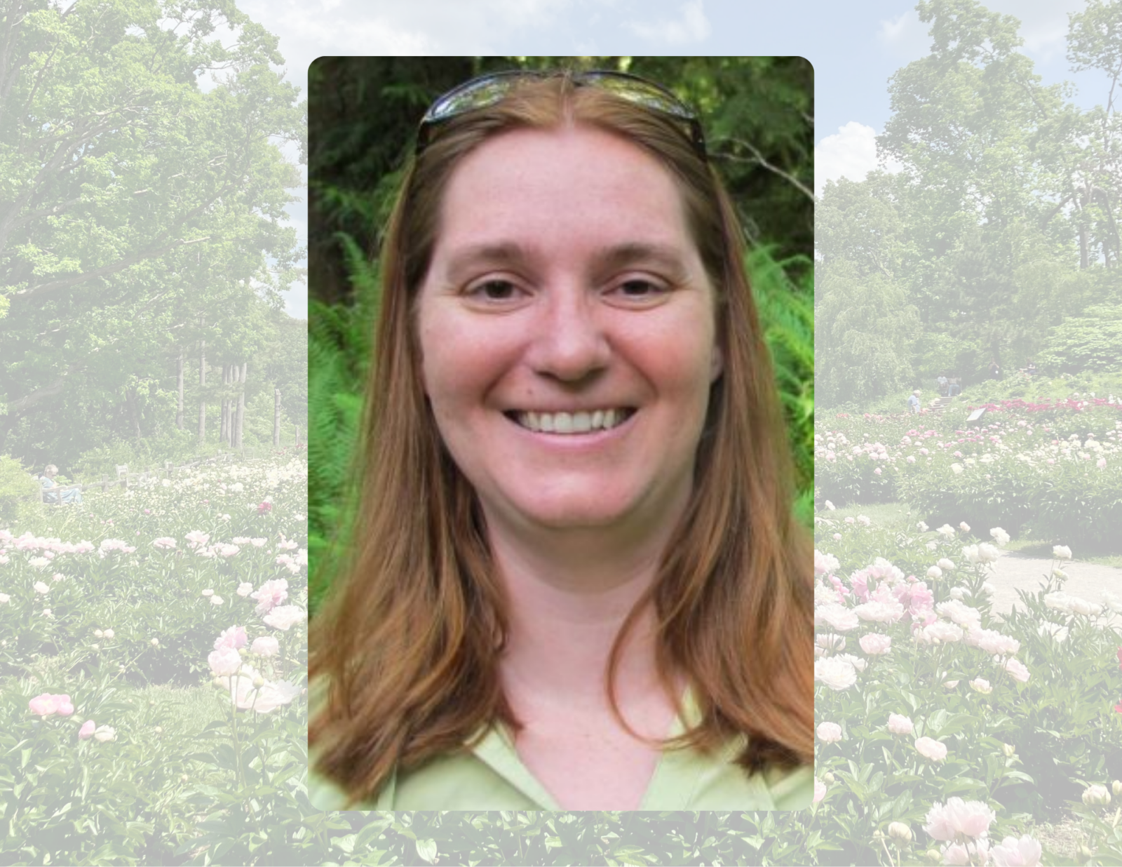 Faculty Spotlight Interviews – LSA Sustainability